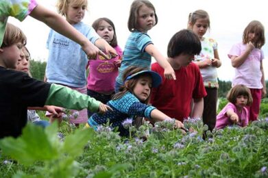 Wild Rose Summer Camp – Play. Explore. Learn.